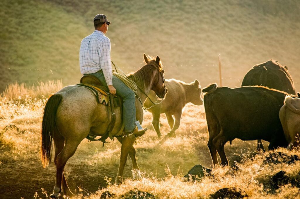 Cowboy Pastor - Village Missions of Canada
